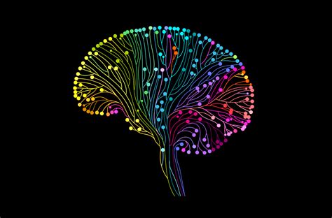 Mapping Brain Connections Reinforces Theories On Human Cognition