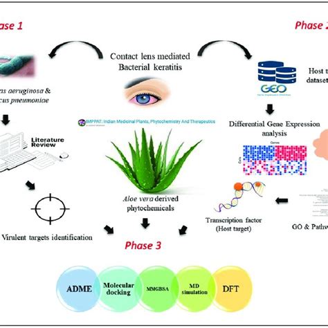 Computational Workflow Involving Identification Of Bacterial Target Download Scientific Diagram