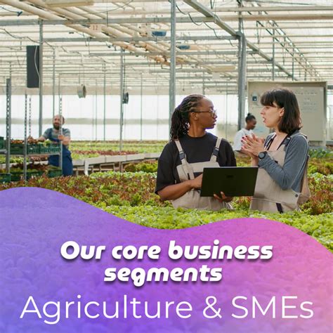 2017 Fdbs National Small And Medium Enterprise Awards Fdbs National Small And Medium