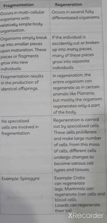 Differences Between Fragmentation And Regeneration Class 10 Science Youtube