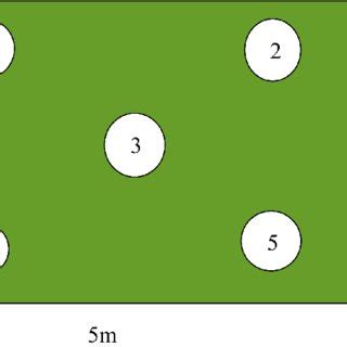 M M Zig Zag Soil Sampling Quadrat Download Scientific Diagram