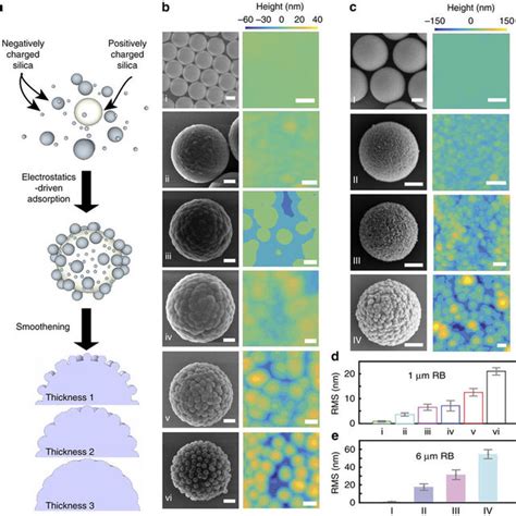Fabrication And Characterization Of Model Rough Particles Download Scientific Diagram