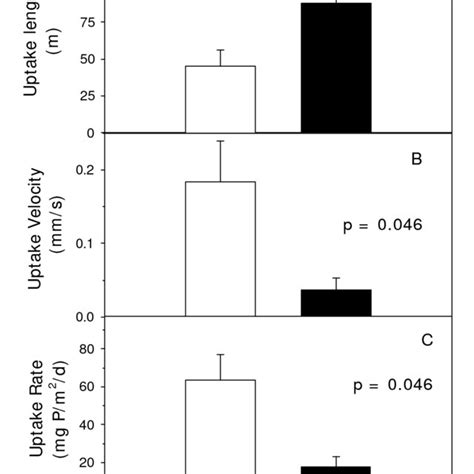 Ephemeral Intermittent And Perennial Streams Download Scientific Diagram