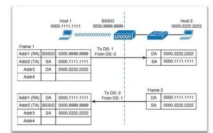 Solved Figure Shows Two Hosts Host Host Chegg Com