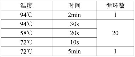Multiple Pcr Primer System And Detection Method For Detecting Lung Cancer Circulating Free Dna
