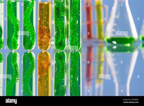 Algae Fuel Biofuel Industry Lab Researching For Alternative To Fossil