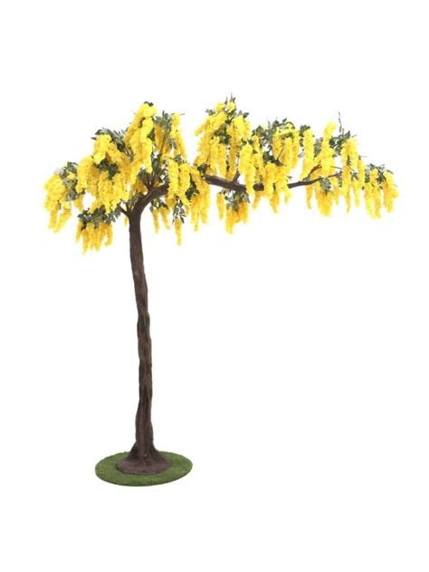 Canopy Tree 3m Yellow Wisteria Eph Creative Event Prop Hire