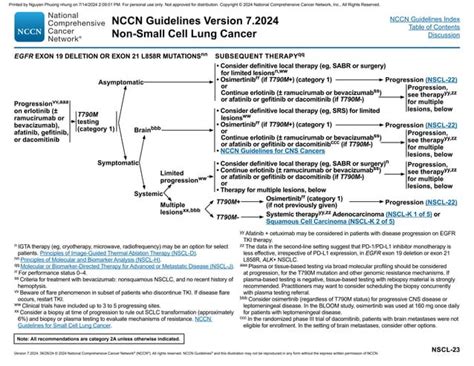 Nccn Clinical Practice Guideline In Oncology Pdf Lung And