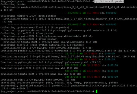 how to install pandas on ubuntu 24 04 shapehost