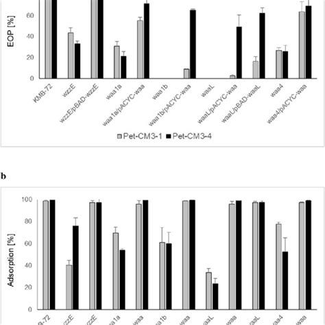 Complementation Assay Of Eop A And Phage Adsorption B In C Download Scientific Diagram