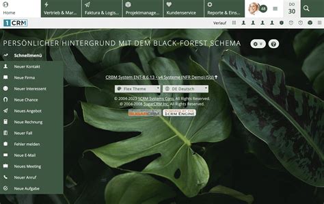 Customizing So Holen Sie Mehr Aus Ihrem Crm Raus 1crm Das Crm System 1crm Das Crm System
