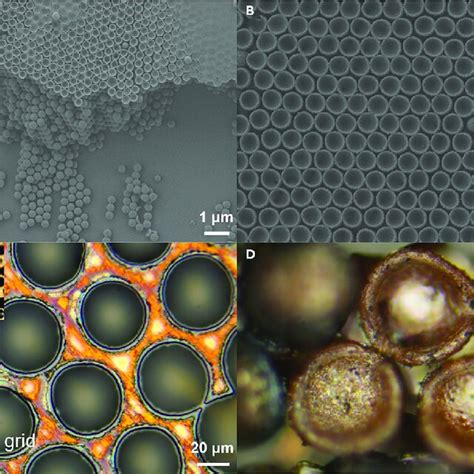 Process Versatility A Sem Image Shows A Bowl Like Nanostructure