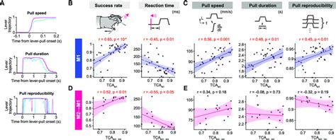 Relationships Between Motor Performance And Tca M1 And Tca M2m1 A Download Scientific