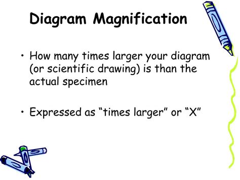 Ppt Microscope Math Powerpoint Presentation Free Download Id5889831