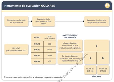 Gold Epoc 2025