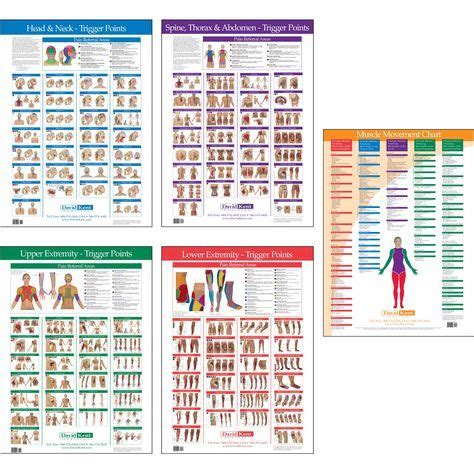 Trigger Point Charts 5 Chart Set Artofit