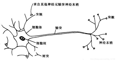 适合新手入门且最简单的ann人工神经网络模型pythonann模型 Csdn博客