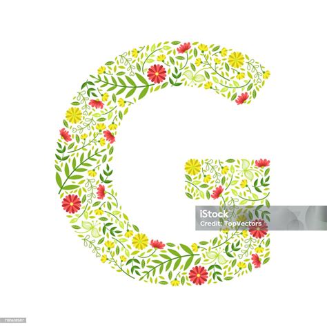 대문자 G 녹색 꽃 알파벳 요소 나뭇잎과 꽃 패턴 벡터 일러스트로 만든 글꼴 대문자 문자 0명에 대한 스톡 벡터 아트 및 기타 이미지 Istock