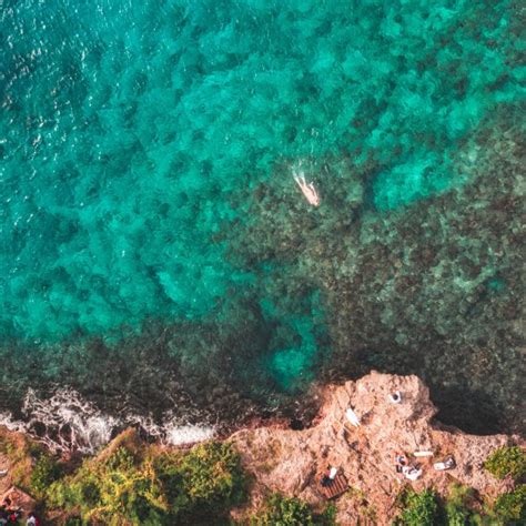 세계최고 회복탄력성 여행지 된 사이판한국에 감사 파이낸셜뉴스