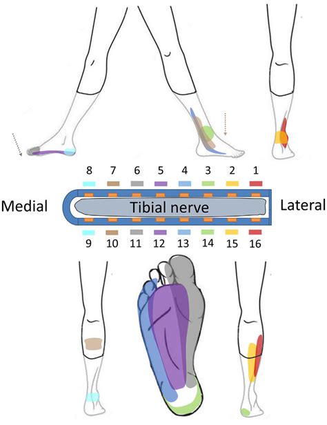The Locations Reported By Le02 At Threshold Pulse Width And Pulse