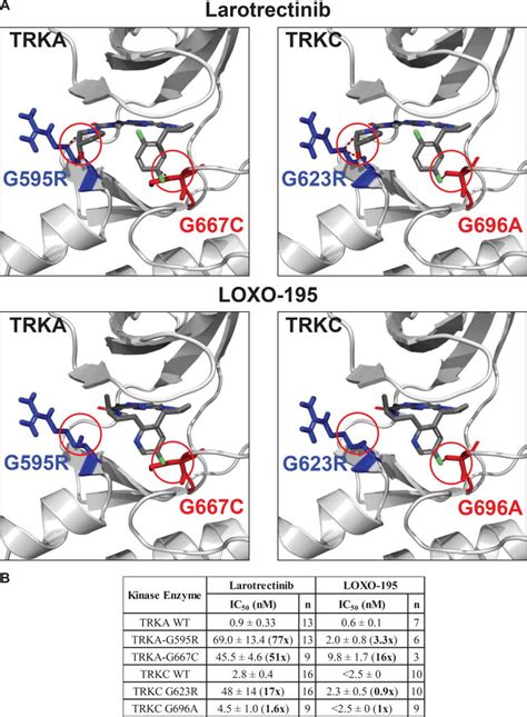 A Next Generation TRK Kinase Inhibitor Overcomes Acquired Resistance To Prior TRK Kinase