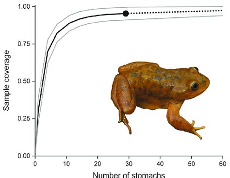 Coverage Based Rarefaction Solid Line And Extrapolation Dotted Line