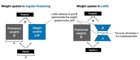 Hands On Fine Tune Large Protein Model Prottrans Using Huggingface