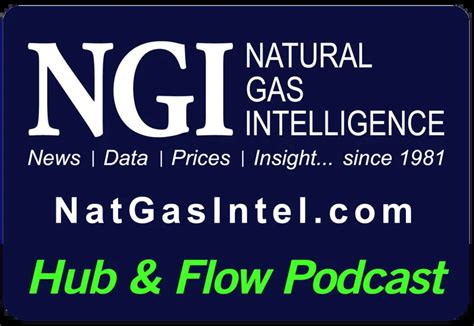 What Does A Pause Of Lng Export Authorizations Mean For The Us
