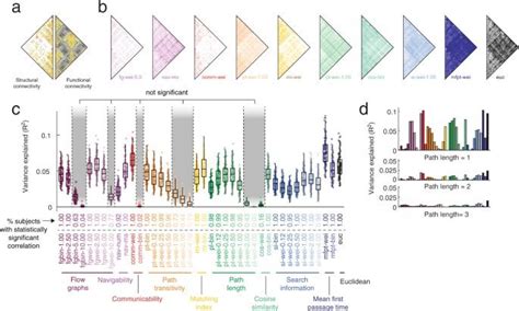 Local Structure Function Relationships In Human Brain Networks Across