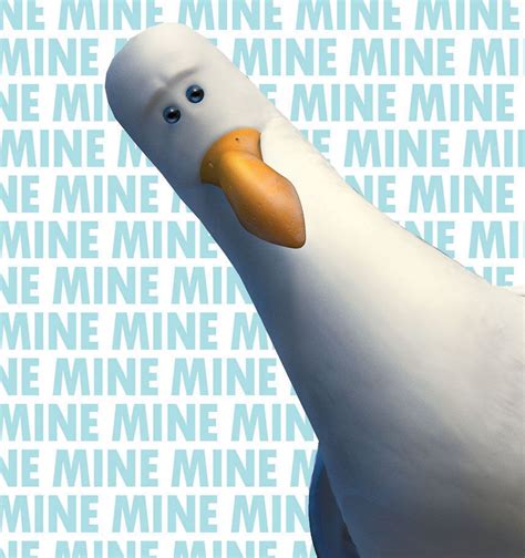 Finding Nemo Gulls Wallpapers 4k Hd Backgrounds On Wallpaperbat