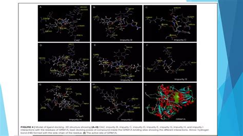 In Silico Methods For Admet Prediction Of New Molecules Pptx