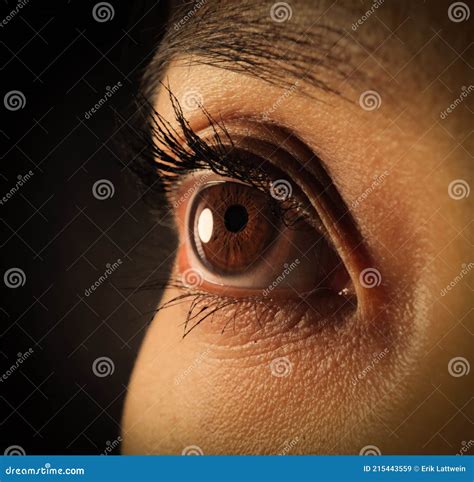 Extreme Close Up Photography