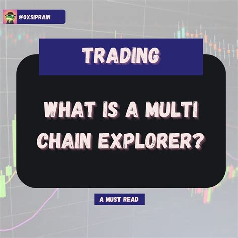 a multi chain explorer in blockchain refers to a tool or platform that