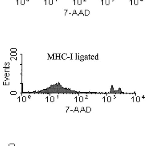 Measurement Of Apoptosis Cells
