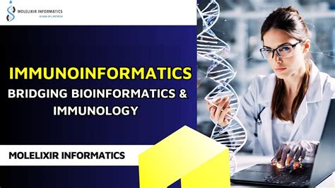 Immunoinformatics Bridging Bioinformatics And Immunology Immunoinformatics Bioinformatics Youtube