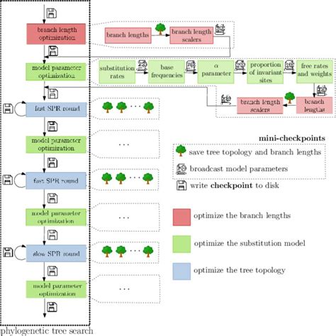 Frequency Of Checkpointing On The Left An Overview Of The Raxml Ng Download Scientific