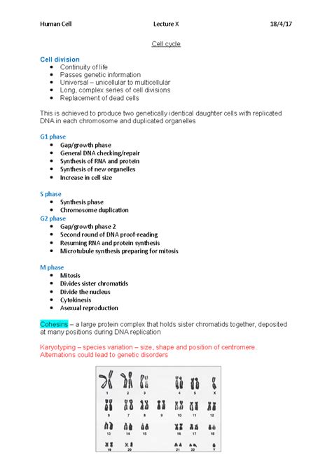 Cell Cycle Lecture Notes 10 Human Cell Lecture X 18 4 17 Cell Cycle Cell Division Continuity