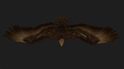 Eagle V3e Animated 3d Model By Animated3d