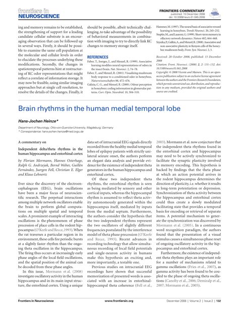 Pdf Brain Rhythms In The Human Medial Temporal Lobe