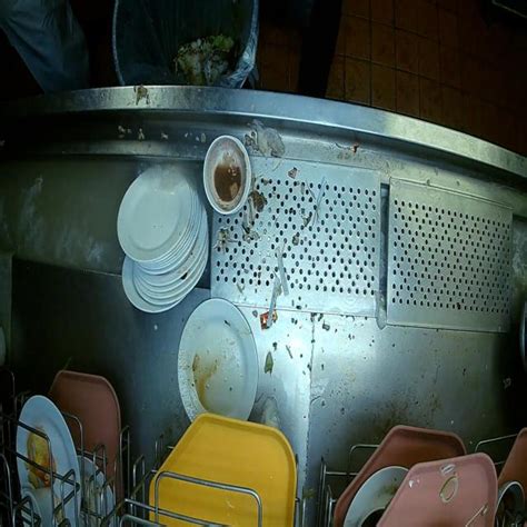 Food Waste Detection Yolo Object Detection Dataset And Pre Trained Model By CV Wonder