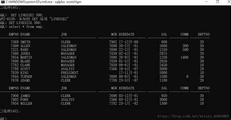 Oracle 基本操作学习一oracle数据库实操 Csdn博客