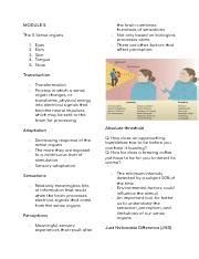 ITP MOD 5 LECTURE Pdf MODULE 5 The 5 Sense Organs 1 2 3 4 5 Eyes Ears Skin Tongue Nose