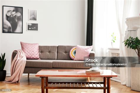 실제 파스텔 소파의 쿠션 핑크 사진과 책 커피 컵 창 커튼 및 벽에 포스터와 나무 테이블과 화이트 거실 인테리어에 서 담요