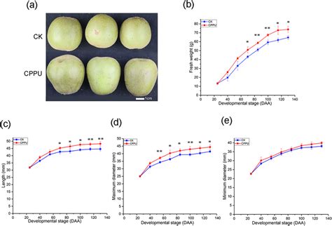 Effects Of Cppu On The Size A Fresh Weight B Length C Maximum Download Scientific