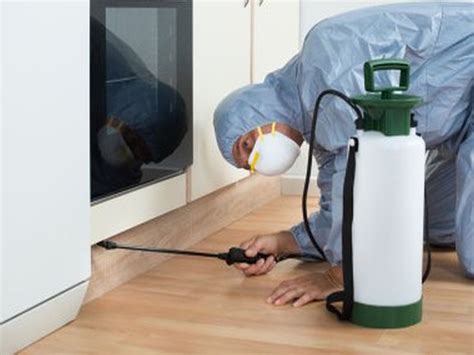 Sydney Pest Control The Role Of Proper Ventilation In Pest Prevention