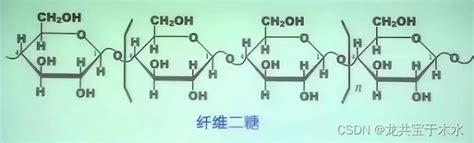 2生物化学与分子生物学——糖类 六元环糖的编号 Csdn博客