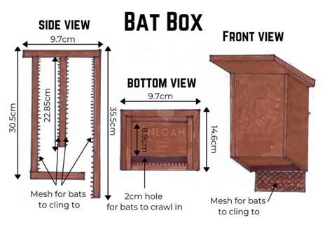 What Does A Bat Box Look Like Inside At Joseph Cornwall Blog