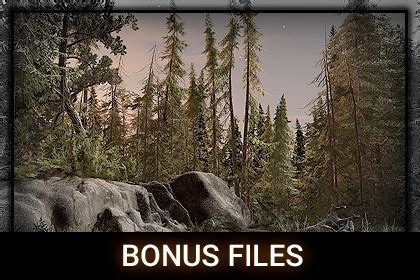 Book Of The Dead Standard Shader Conversion Bonus Files Game Content Shopper Unity Asset