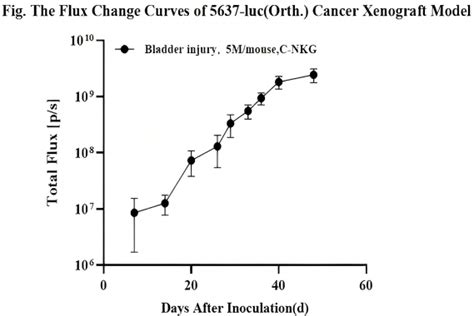 Oricell®5637 With Luciferase And Gfp 价格 厂家 科研试剂 Oricell品牌 赛业（广州）生物科技