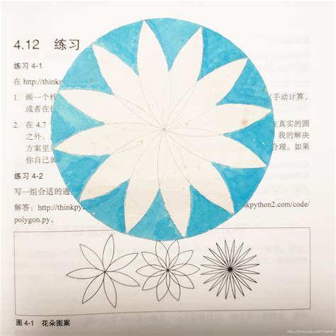 《think python》练习 4 2：用函数画花朵 csdn博客